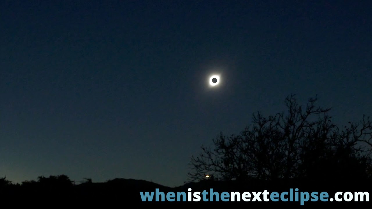 Parrots go crazy during Total Solar Eclipse, Chile 2019 - YouTube