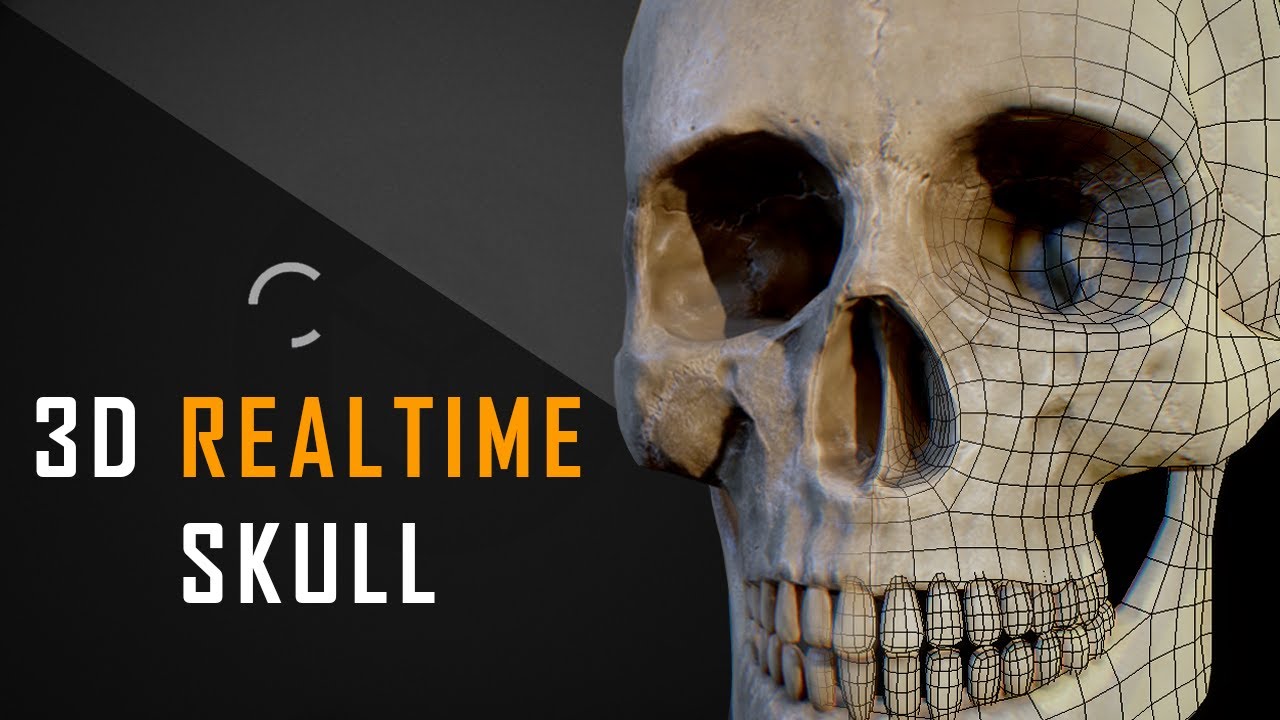 Anatomical 3D Skull | Realtime - YouTube