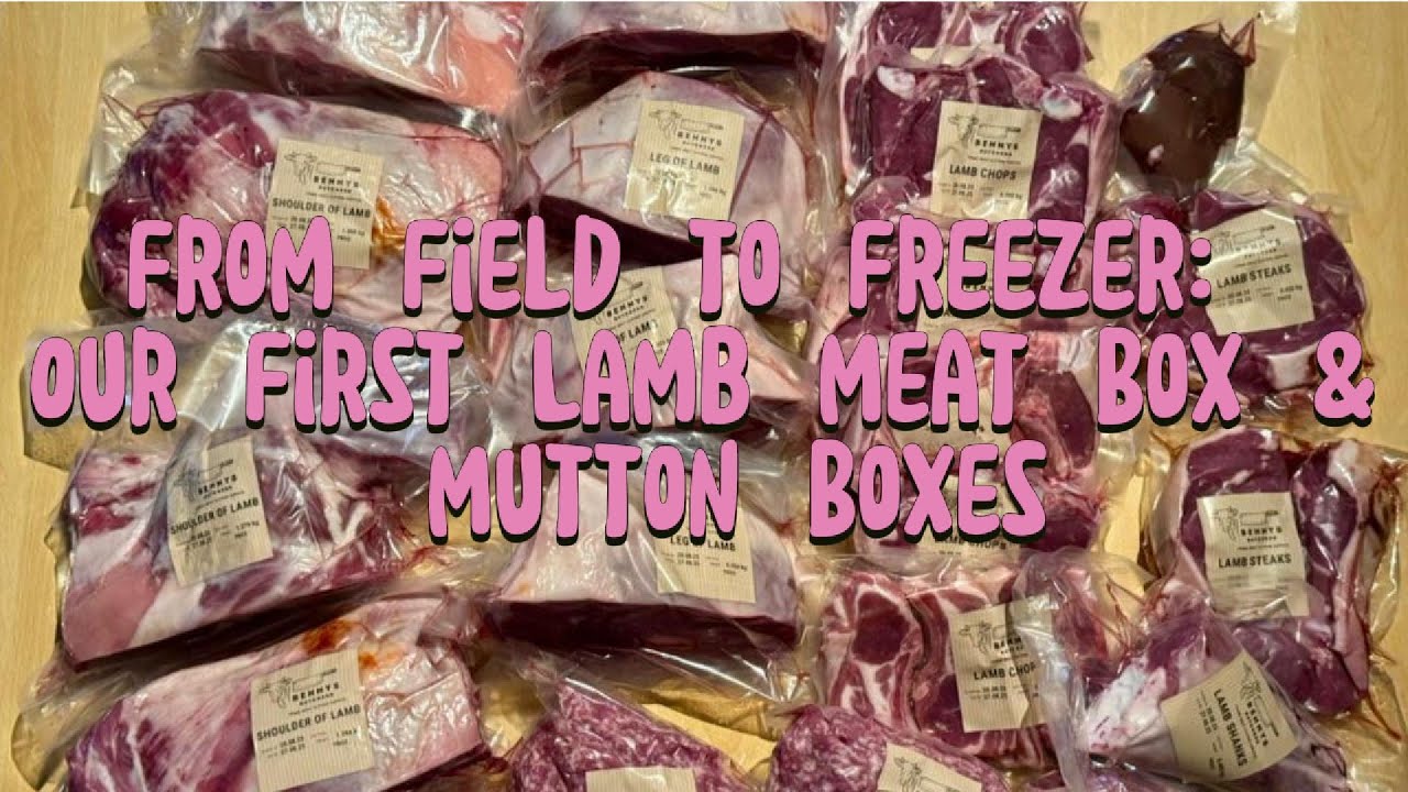 From field to freezer: Our first lamb meat box & mutton boxes - YouTube