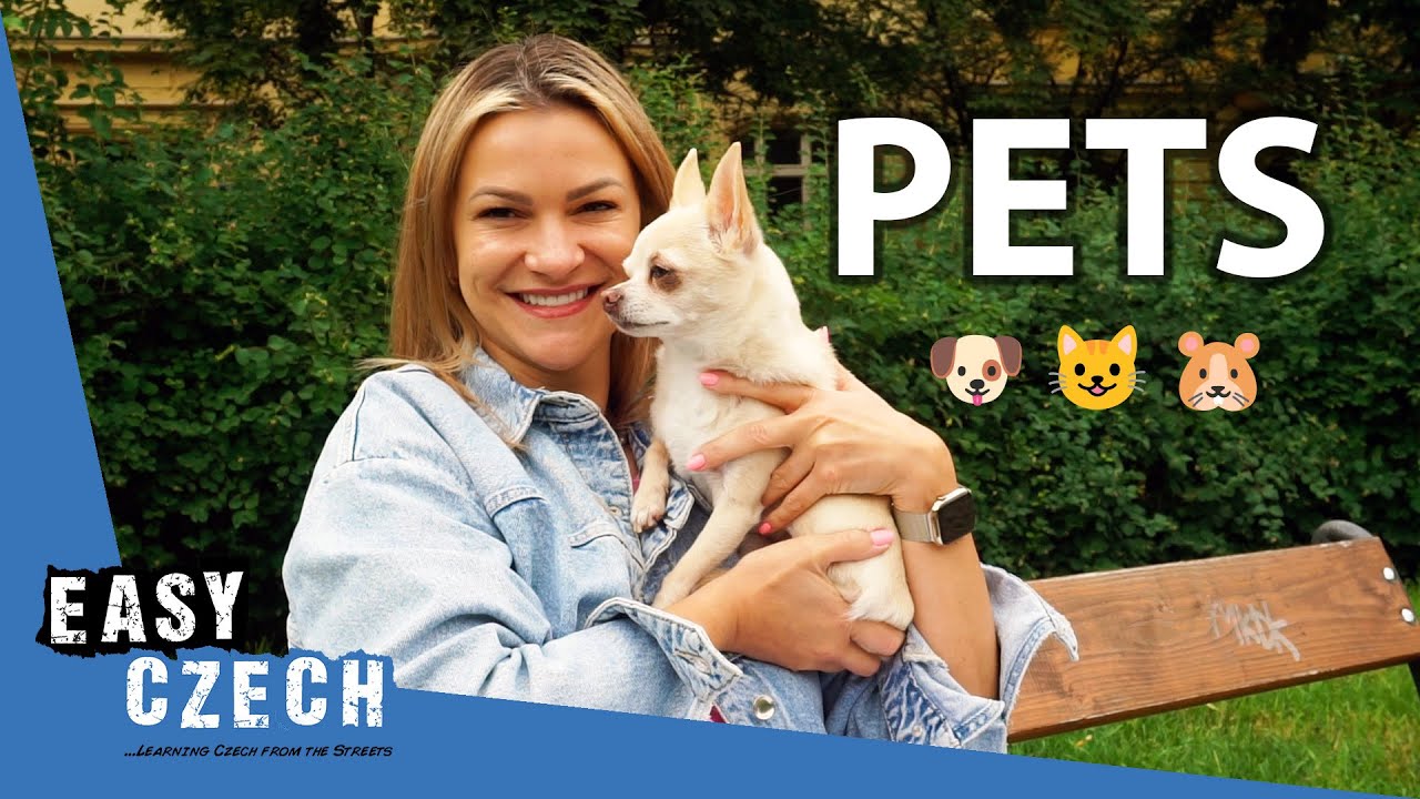 Animals and their sounds | Super Easy Czech 46 - YouTube