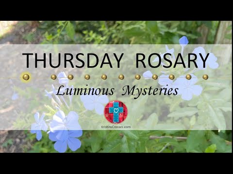 Thursday Rosary • Luminous Mysteries of the Rosary 💚 Light Blue Flowers ...