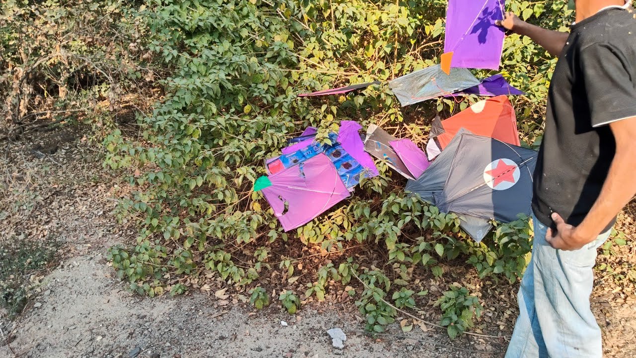 Kite looting Chelleng Jungle Mein🥉 - YouTube