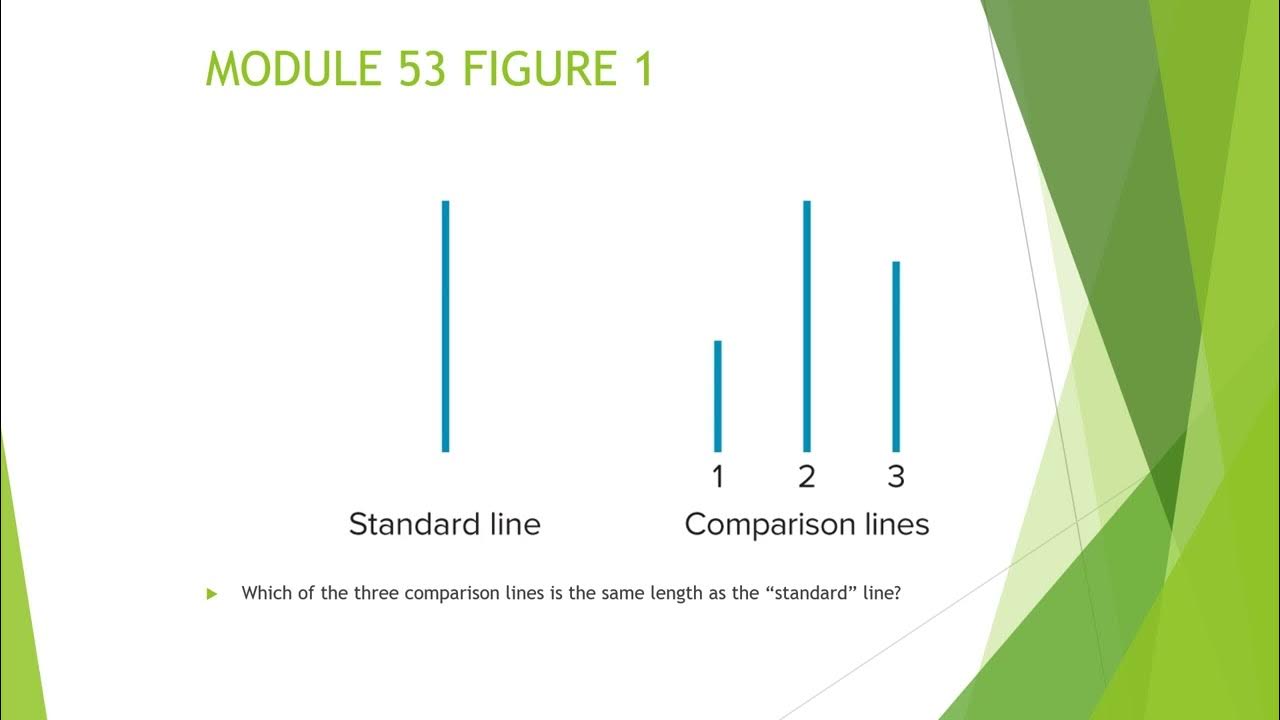 Chapter 17 MODULE 53 part 1 RECORDING - YouTube