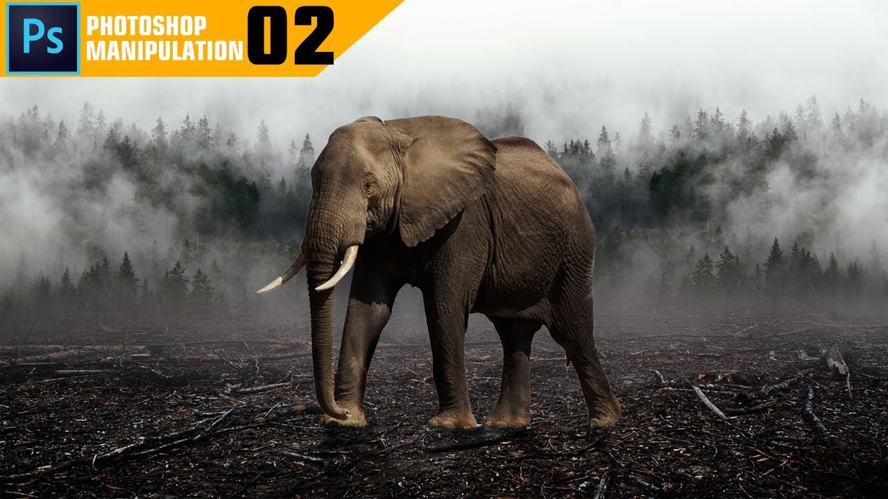 Photoshop Manipulation | Elephant | Part 02 - YouTube