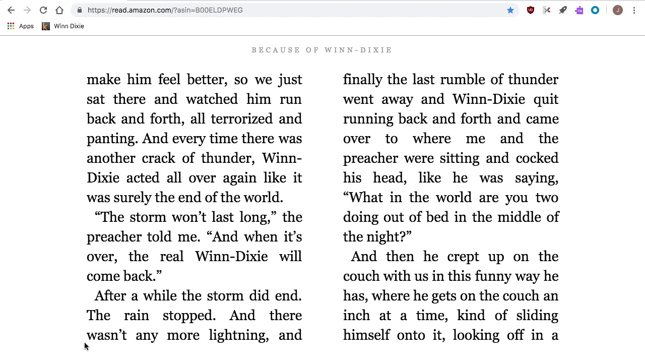 Chapter 11 Because of Winn Dixie - YouTube