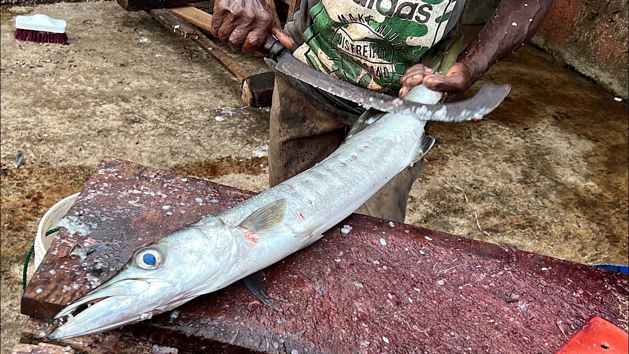 Barracuda Fish Cleaning & Cutting Skills | Whole Barracuda Fish Cutting ...