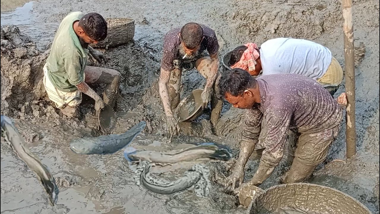 How amazing hand fishing video. Village people hunting various fish ...