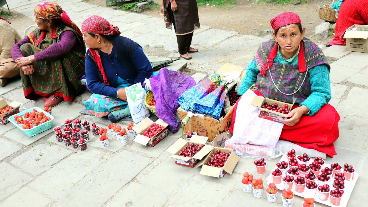 Himachali Women Selling Cherries and Strawberries In Manali (Himachal ...