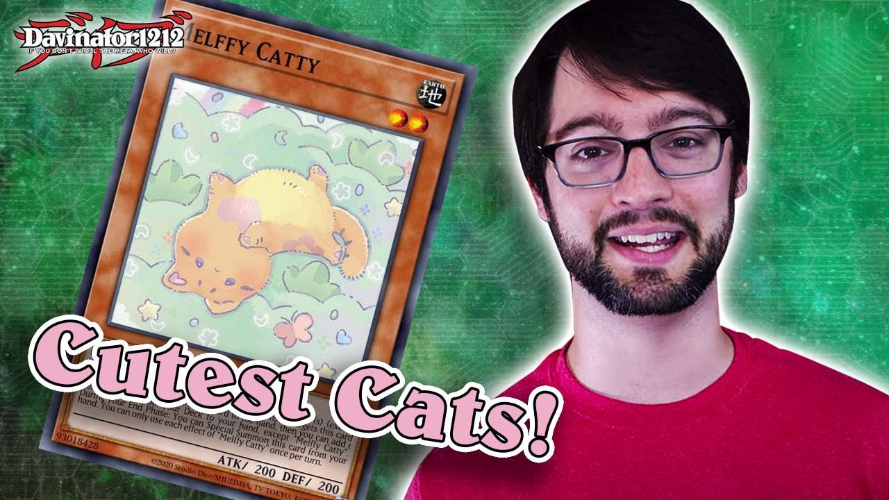 Top 5 BEST Cute Cat Cards in Yu-Gi-Oh! - YouTube