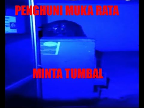 KANTOR PENGHUNI MUKA RATA DAN KEPALA BUNTUNG [ BIGO LIVE ]