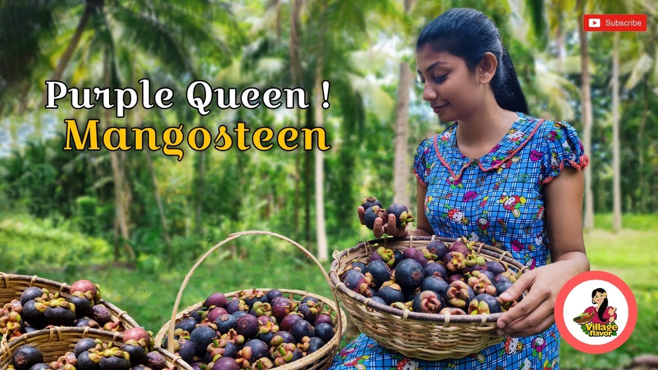 Juicy & Purple Mangosteen!🍩I made Doughnuts with Mangosteen Jam & Tea ...