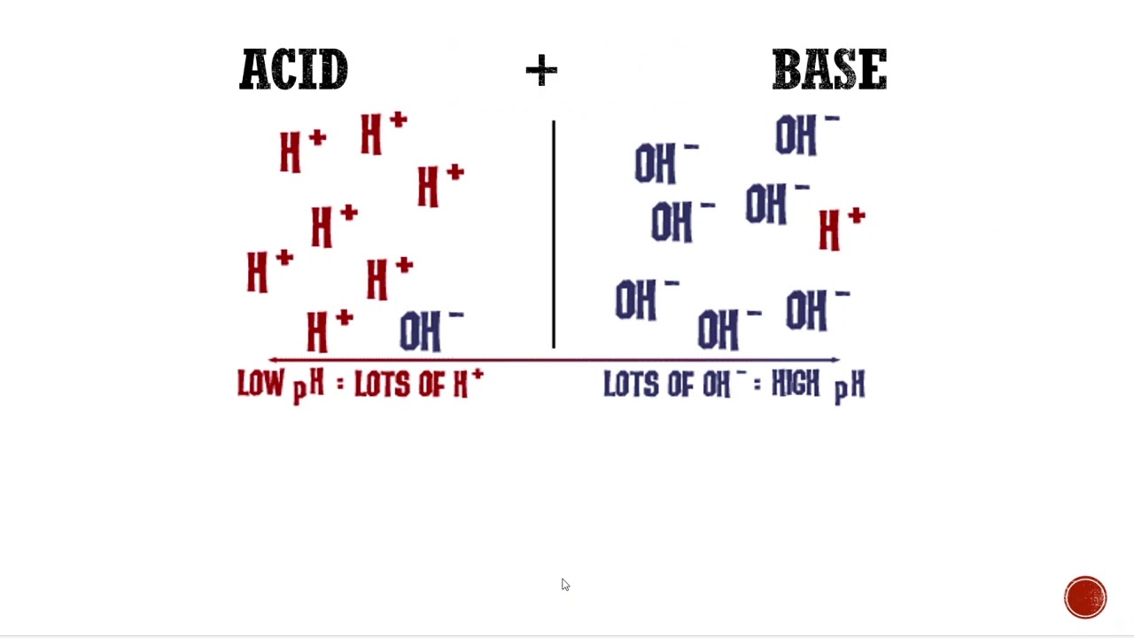 Acid Base Notes edited - YouTube