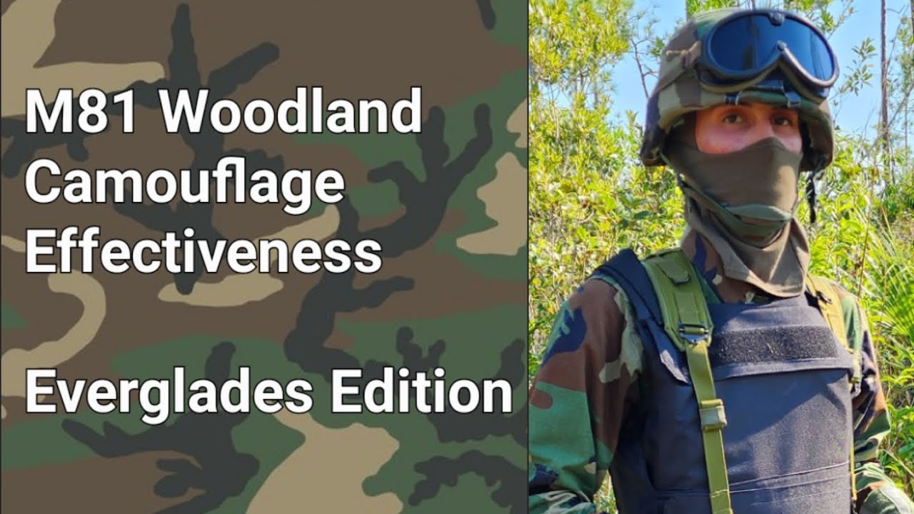 M81 Woodland Camouflage Effectiveness. Everglades Edition - YouTube