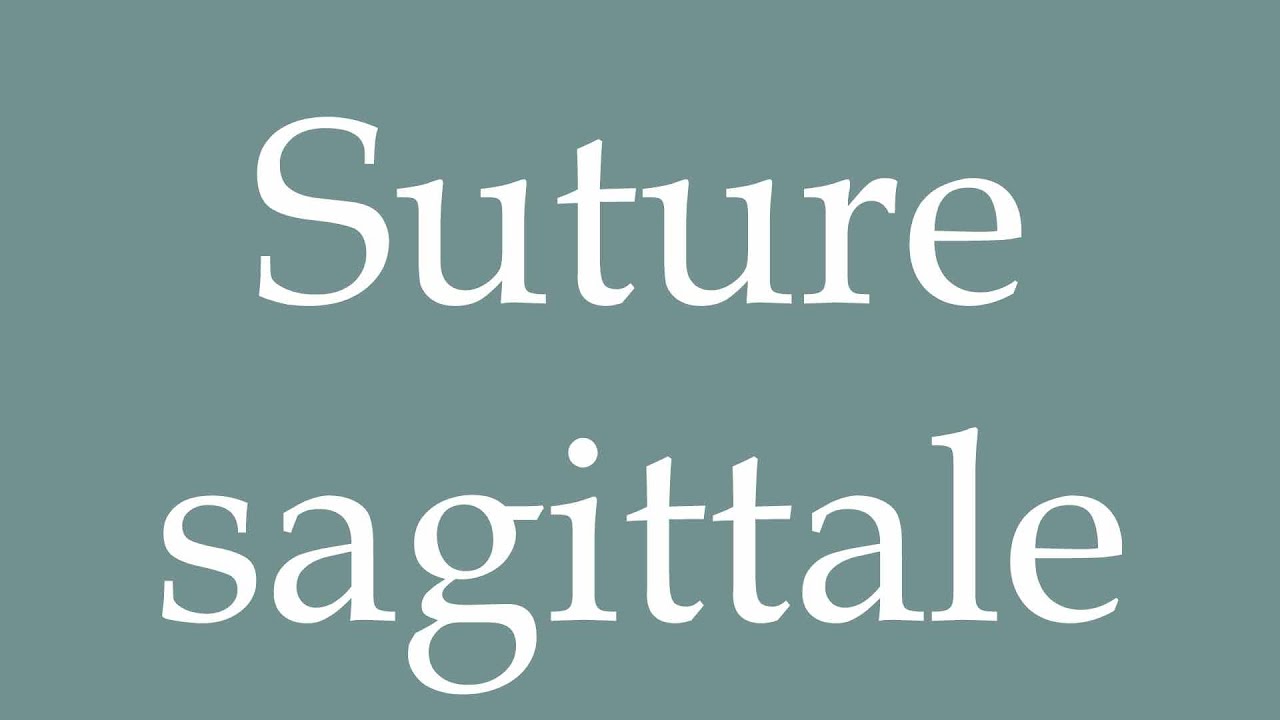 How to Pronounce ''Suture sagittale'' (Sagittal suture) Correctly in ...
