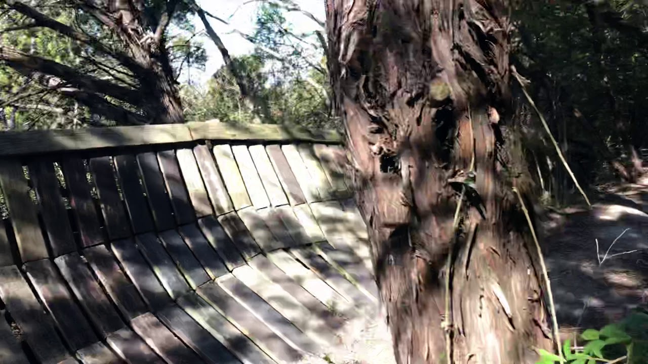 Dwayne & Jesse on SOS (Big Cedar Wilderness) - YouTube