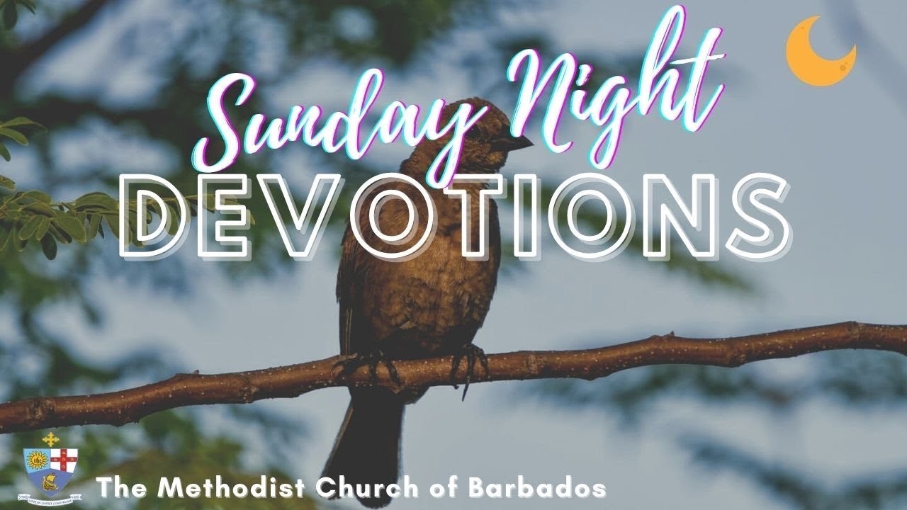 Daily Devotions - February 11th, 2024 - YouTube