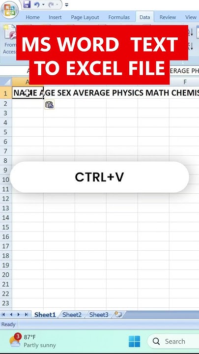 How to convert word text to excel table #excel #viral #exceltips #msword #computer - YouTube