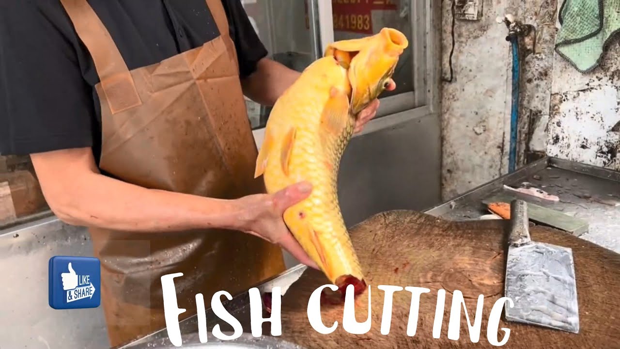 You Never Seen Fish Cutting Alive in China - YouTube