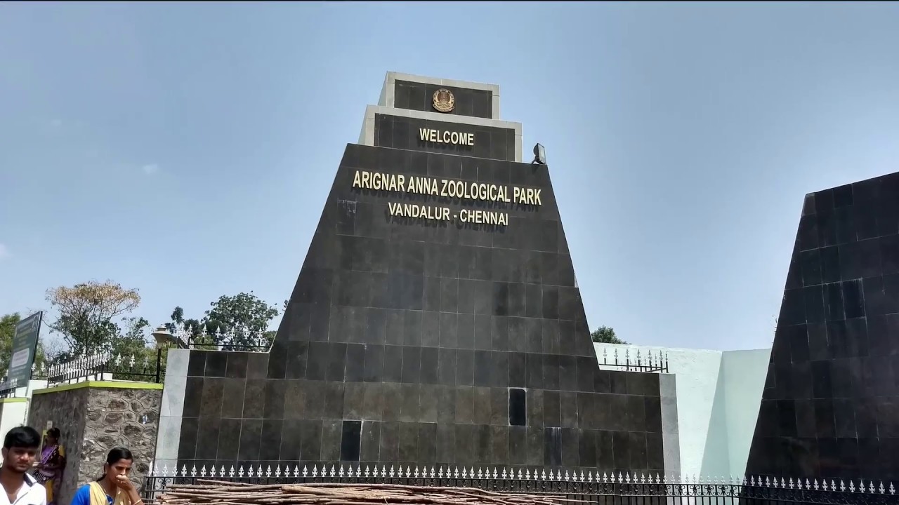 Vandalur Zoo Chennai : Watch LIVE on website Live Streaming available ...