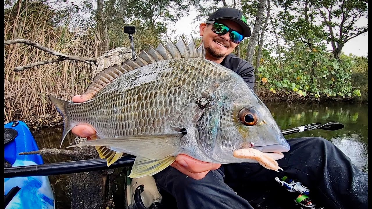 MASSIVE BREAM LAKE. - YouTube
