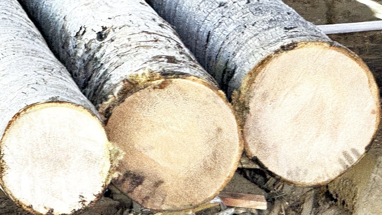 Enhanced Craftsmanship Mastering the Art of Sawing in Woodworking Magic ...