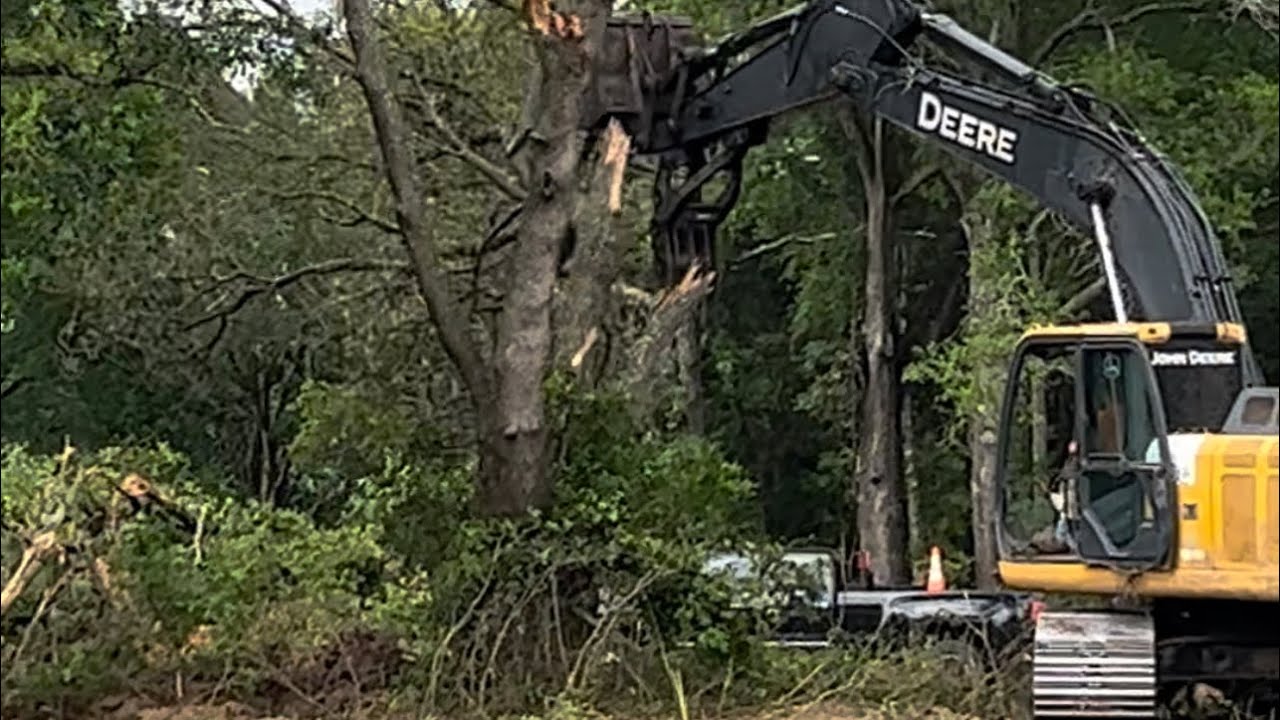 Complete tree 🌳 destruction 👍🏼💪🏼 - YouTube