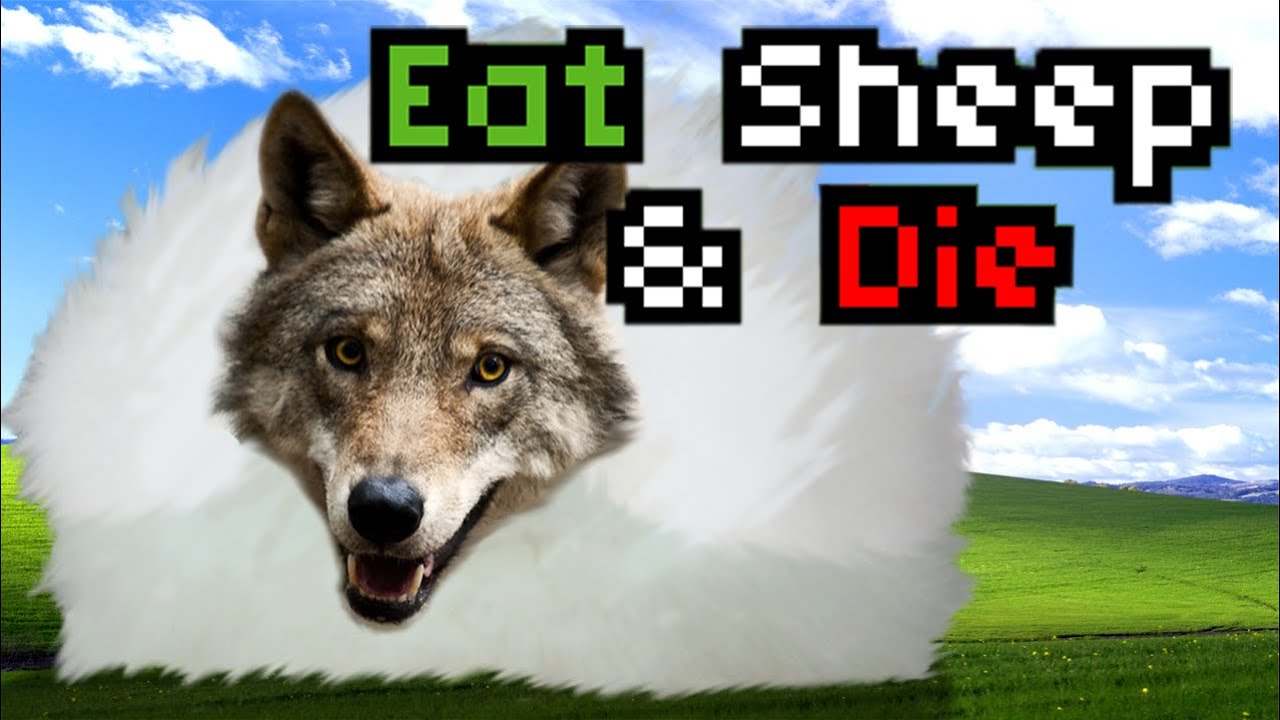 Wolf Eating Sheep