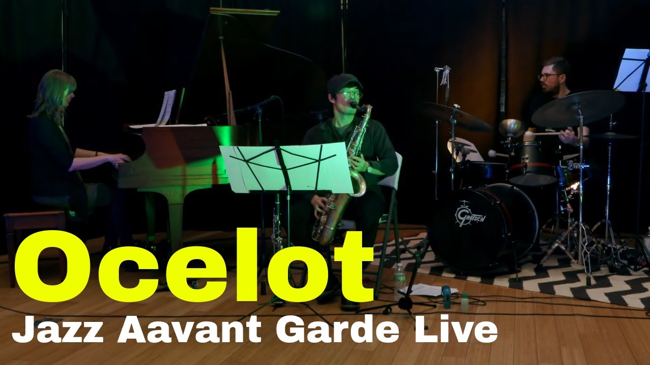 Ocelot: Live Part 2 March 31 2019, New York City - YouTube