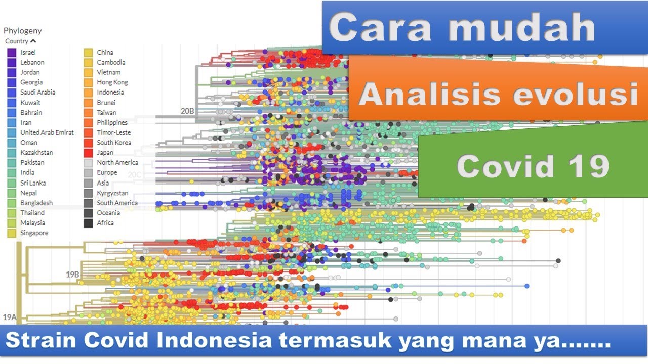 Bioinformatics 6: Tutorial membuat pohon filogenetik untuk analisis ...