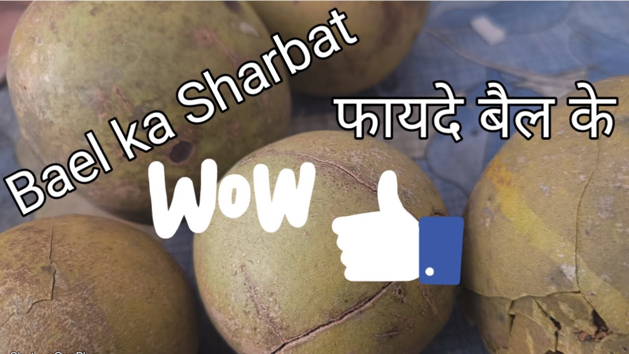 Easy Bael juice Recipe 😋 बेल का शर्बत#woodapple #bael#shorts - YouTube