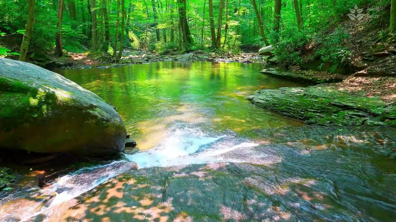 Summer Day Ambience in the Forest. 10 hours stream sound for sleeping ...