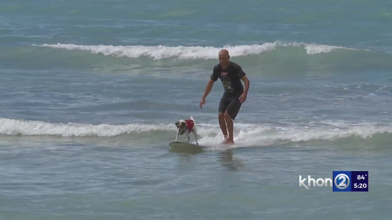 ‘SurFur ComPETition 2024,’ other events at Duke’s OceanFest in Waikiki ...