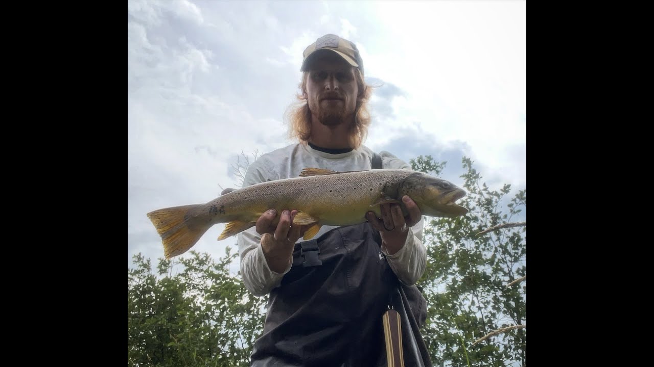 Central Wisconsin Brown Trout- Big Fish Landed! - YouTube