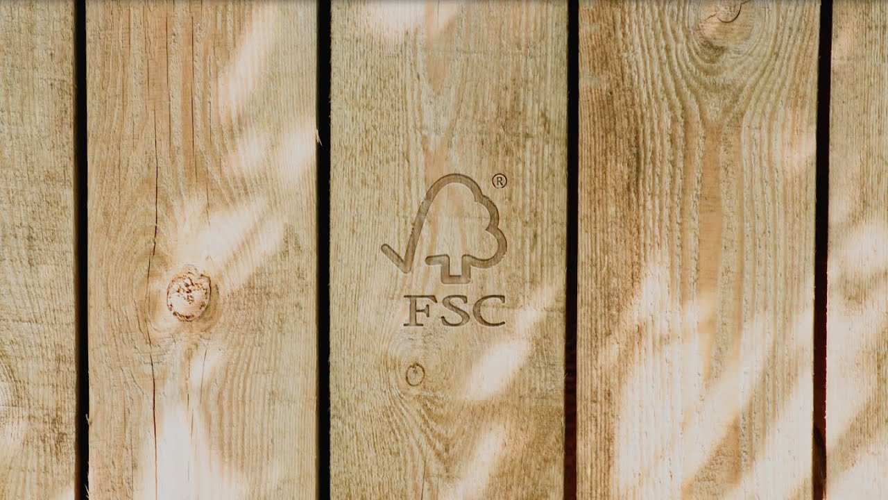 Você conhece o selo FSC? - YouTube