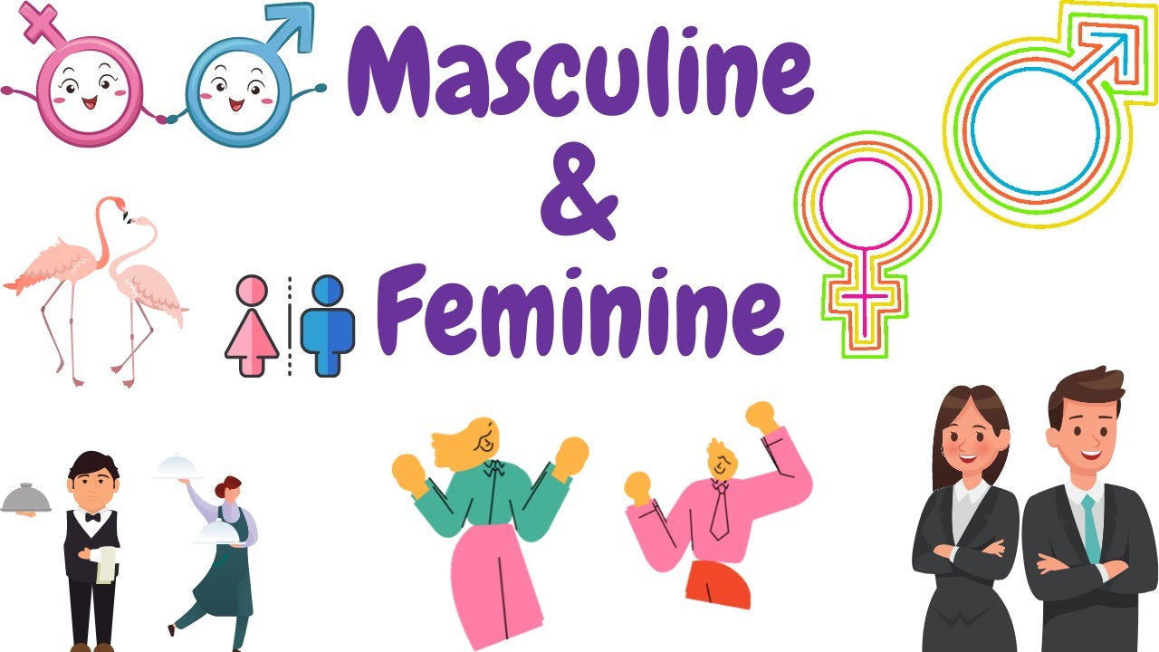Masculine & Feminine || Learn Genders on English with Pictures || He ...