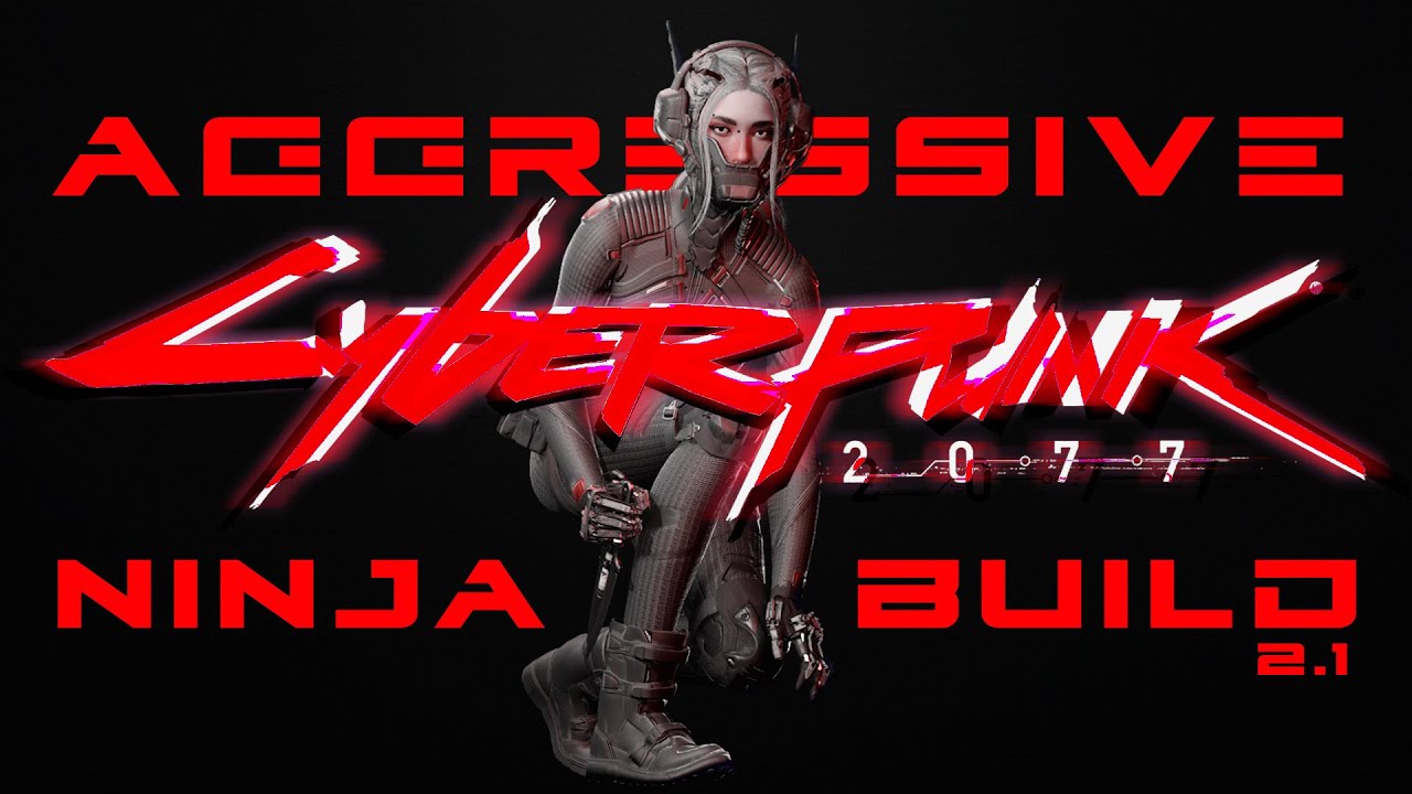 my cyberpunk 2077 build | aggressive ninja - YouTube