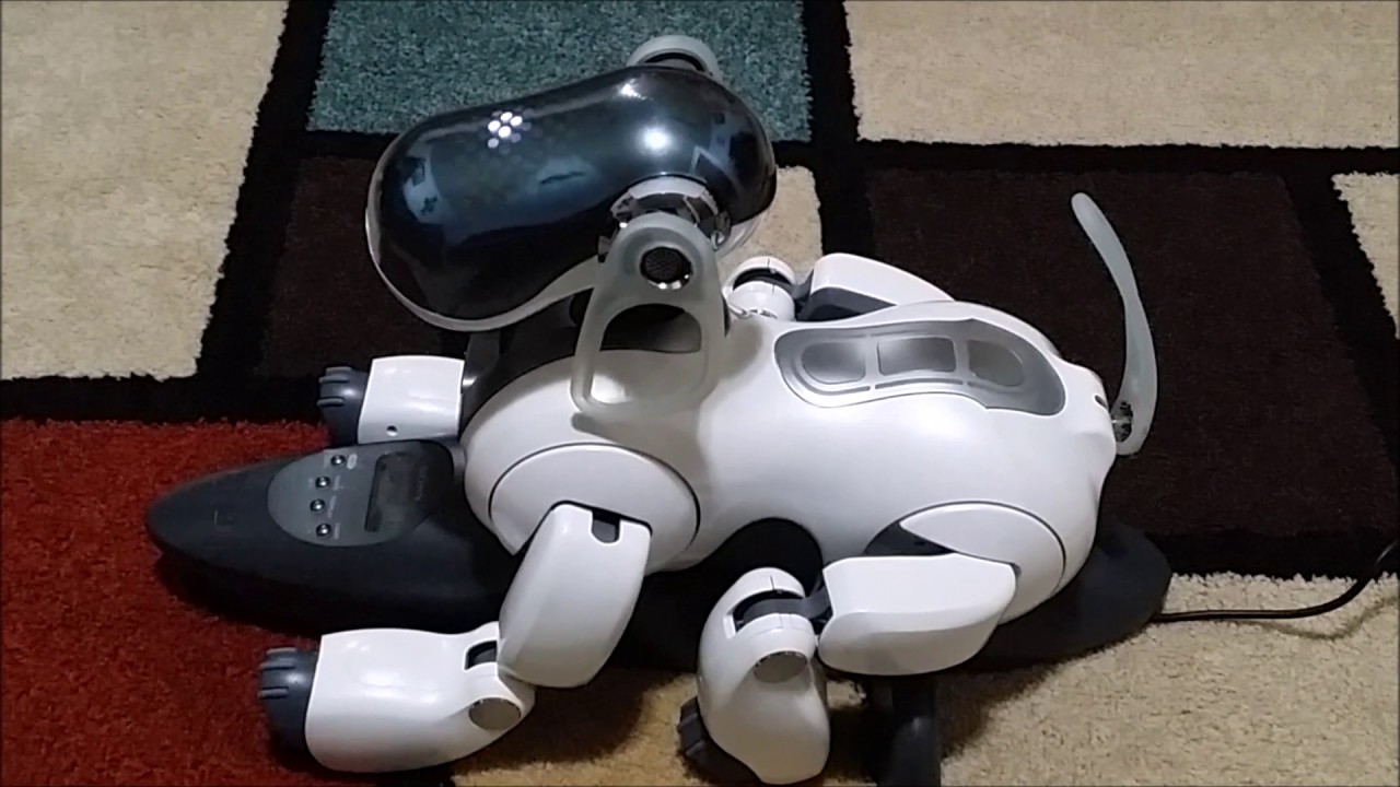 Aibo ERS-7 Starting up and dancing - YouTube