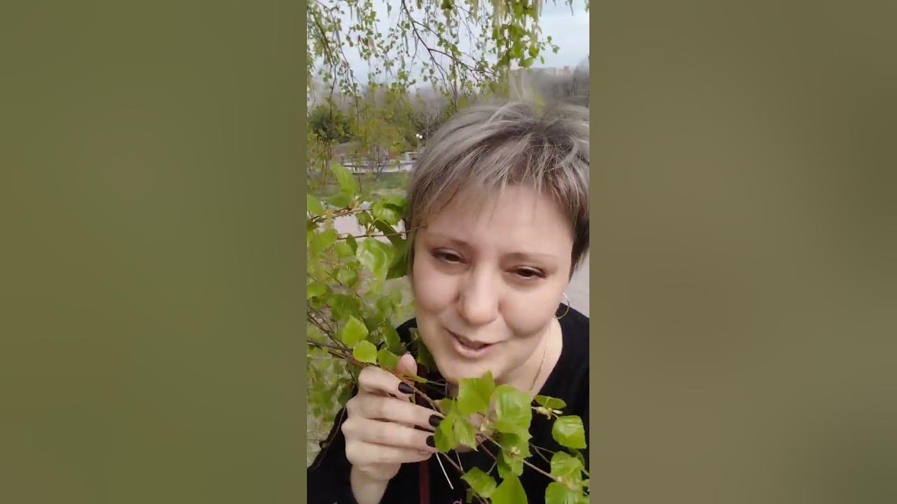 Белая беpеза я тебя люблю Пpотяни мне ветку тонкую свою Белая беpеза ты