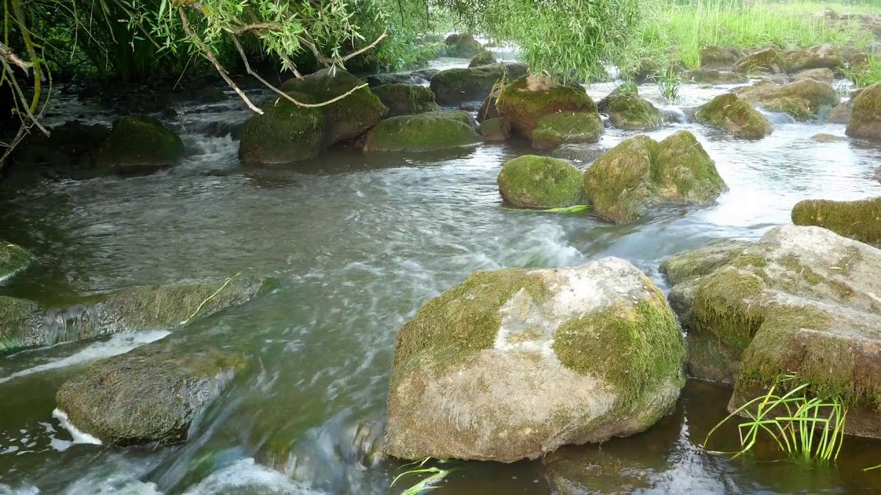 Zen Water Flow Sounds~ Tranquility of Water Flowing - YouTube
