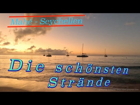 Mahé - Seychellen: Die schönsten Strände
