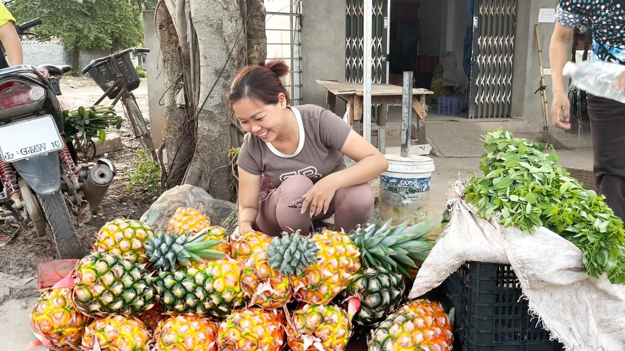 Secrets of the Pineapple Market: Harvest pineapples and bring them to ...