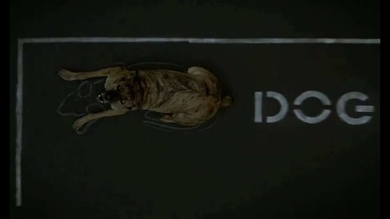Dogville (2003) - ending, real dog - YouTube