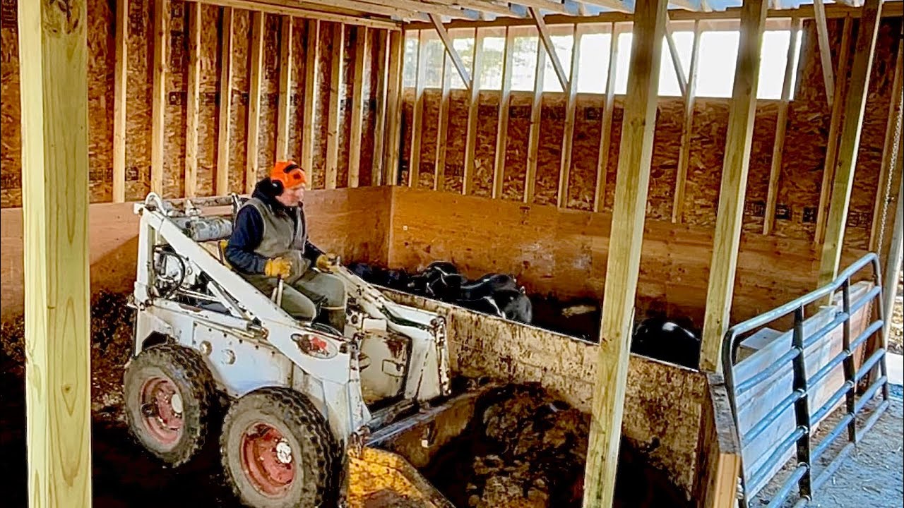 Cleaning out the pig barn - YouTube