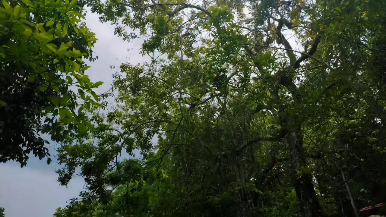 Traveling to Haipa Waterfall - YouTube