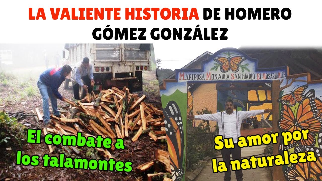 Homero Gómez González: La valiente historia del Guardían de la Mariposa ...