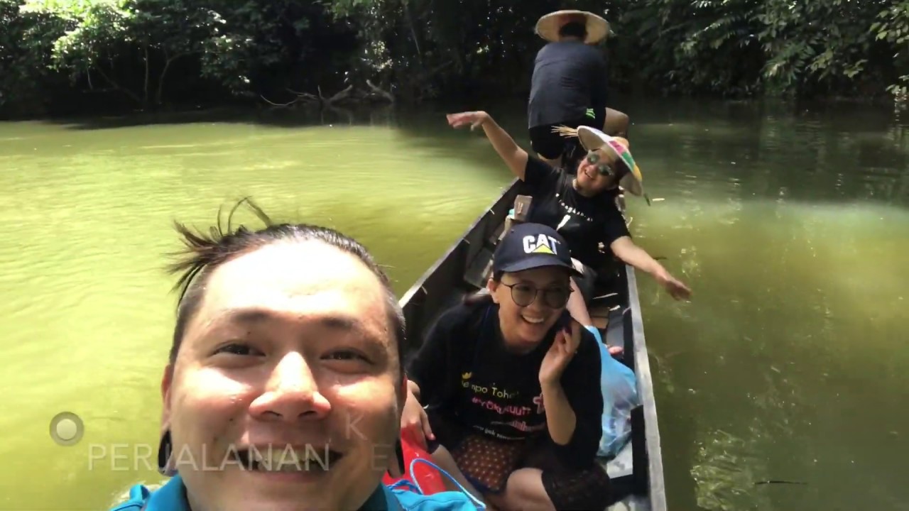 Back to Nature Hutan Tane’ Olen - YouTube
