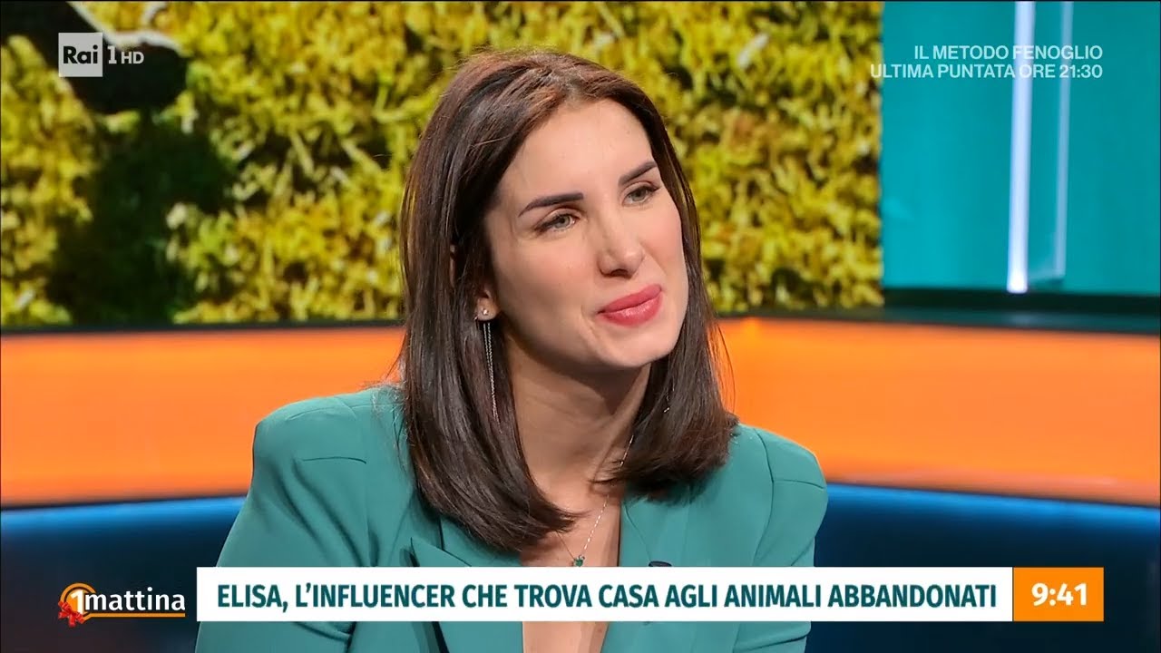 Elisa, l'influencer che trova casa agli animali abbandonati ...