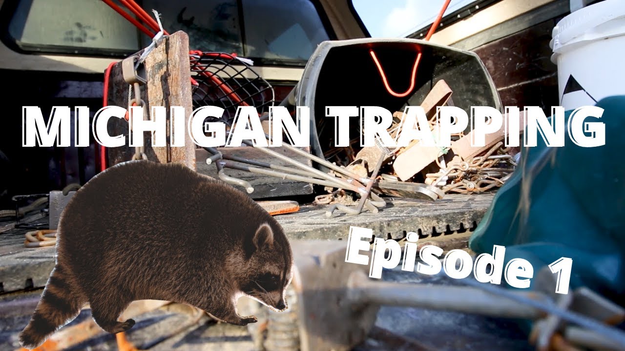 Michigan Winter Trapping!!, Trappers Log - Epi 1. - YouTube