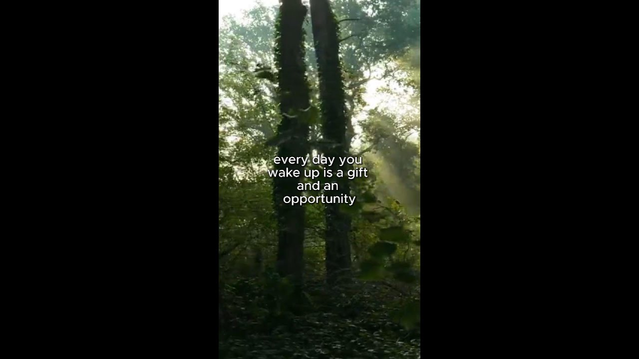 3-Minute Compilation: Signs of God's Greatness - YouTube