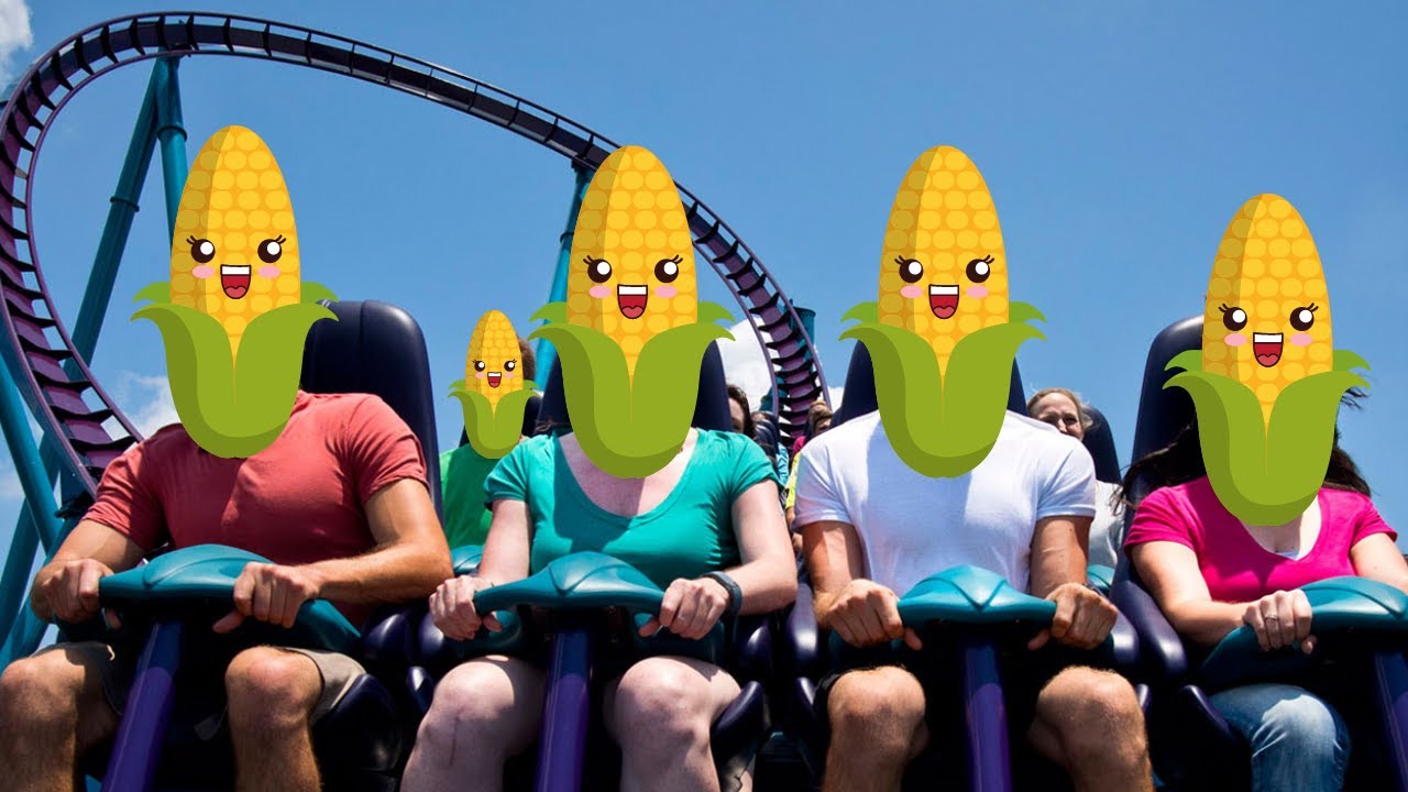 Corn Market Rollercoaster - YouTube